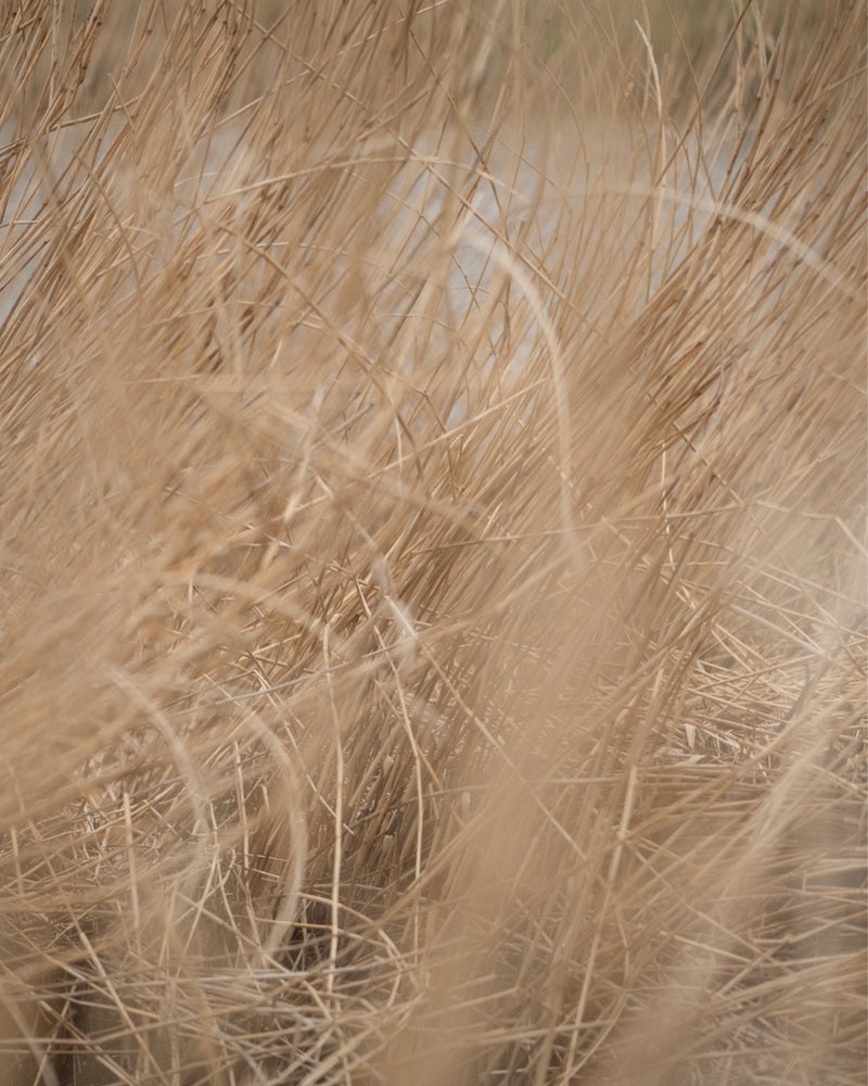 Super-soft jersey base layers – Harry Duley